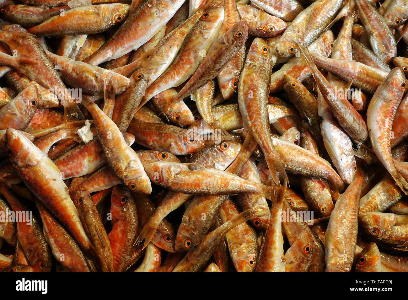 Raw Fish Food in a Fish Market Stand Stock Photo - Alamy