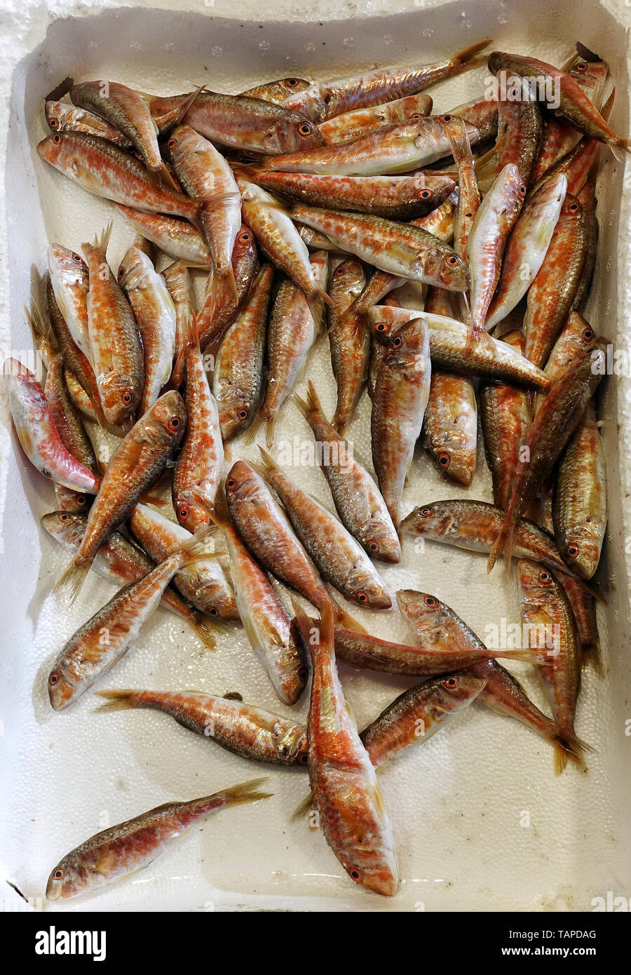 Raw Fish Food in a Fish Market Stand Stock Photo - Alamy