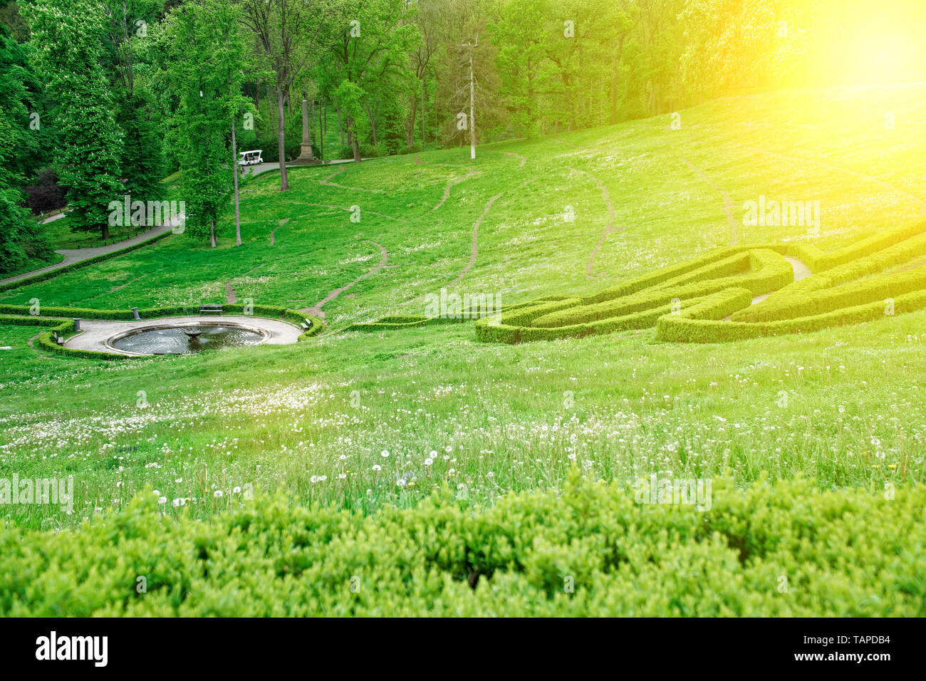 Green maze and Garden stone path with grass growing up between the ...