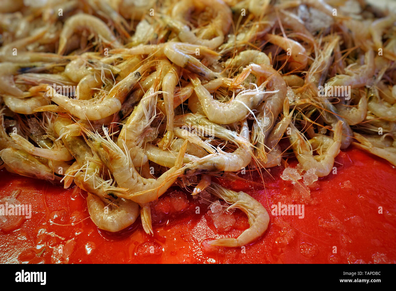 Raw Fish Food in a Fish Market Stand Stock Photo - Alamy