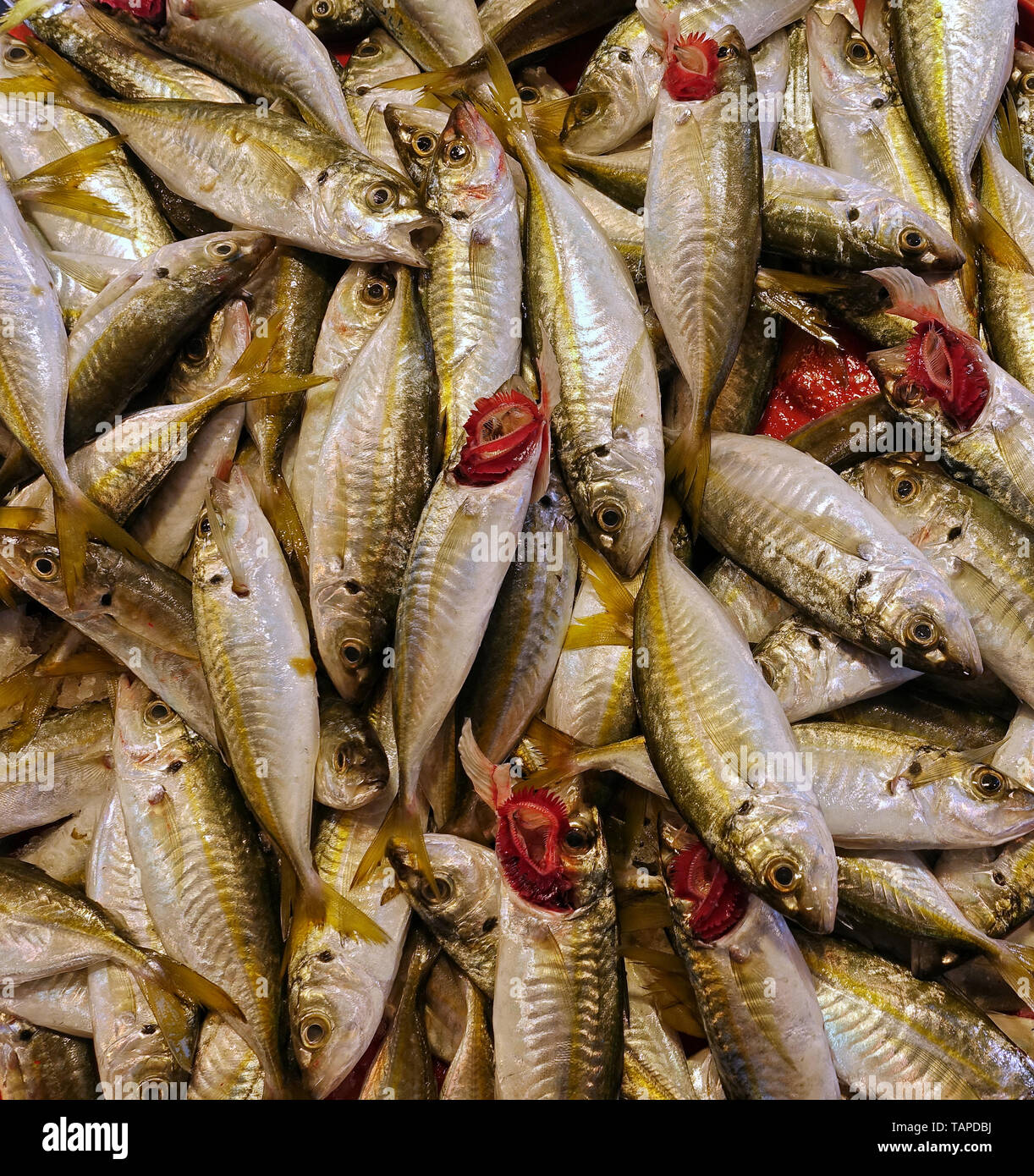 Raw Fish Food in a Fish Market Stand Stock Photo - Alamy