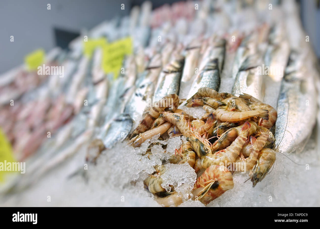 Raw Fish Food in a Fish Market Stand Stock Photo - Alamy