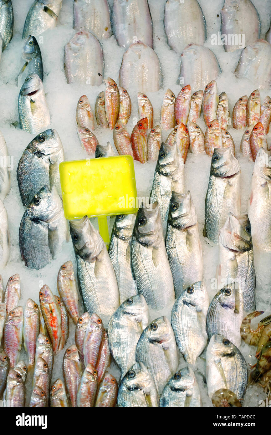 Raw Fish Food in a Fish Market Stand Stock Photo - Alamy