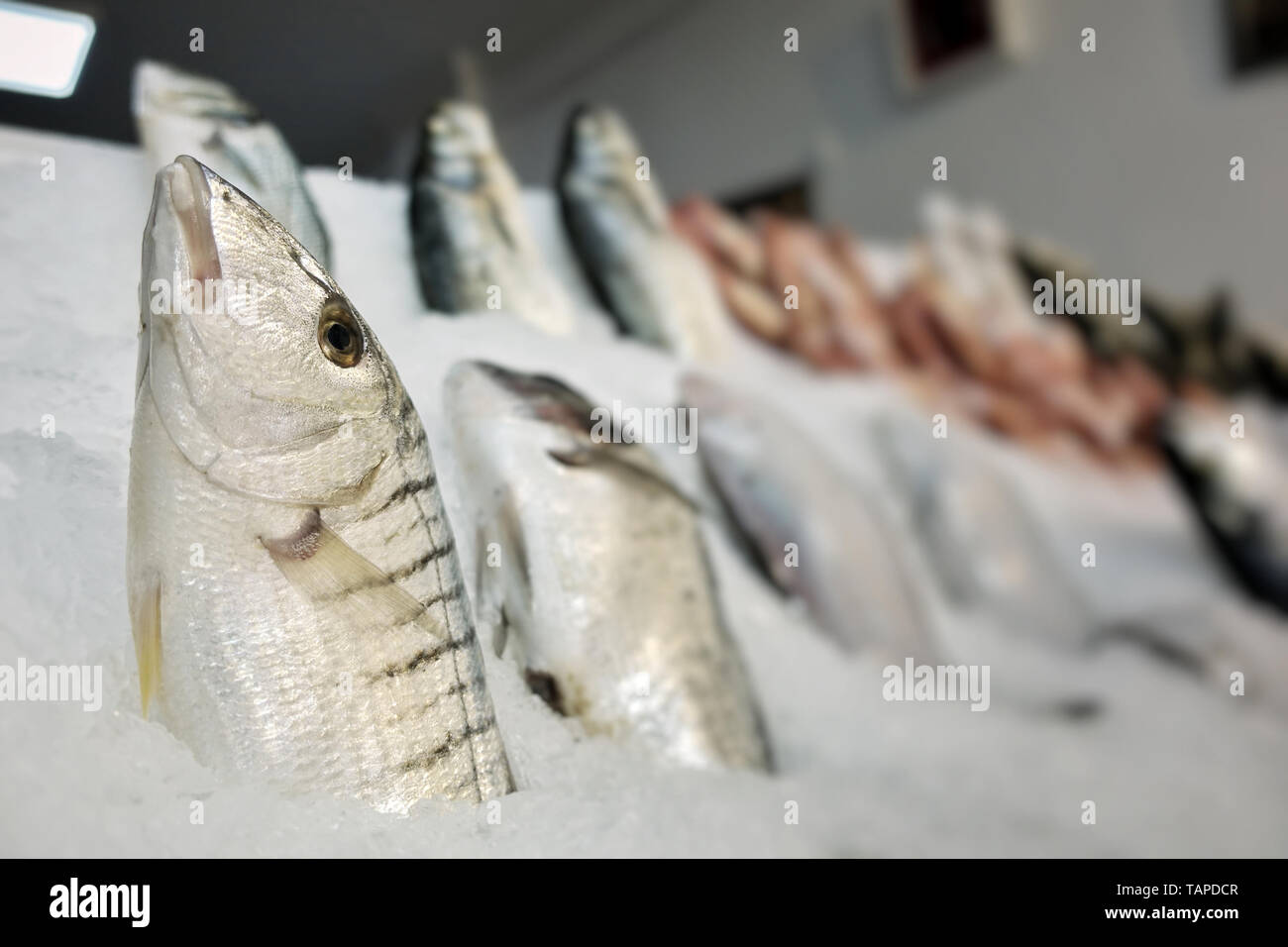 Raw Fish Food in a Fish Market Stand Stock Photo - Alamy
