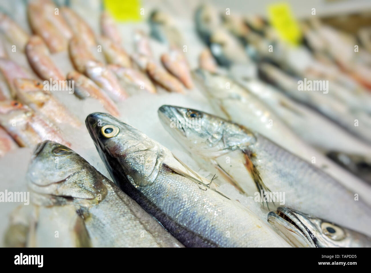 Raw Fish Food in a Fish Market Stand Stock Photo - Alamy