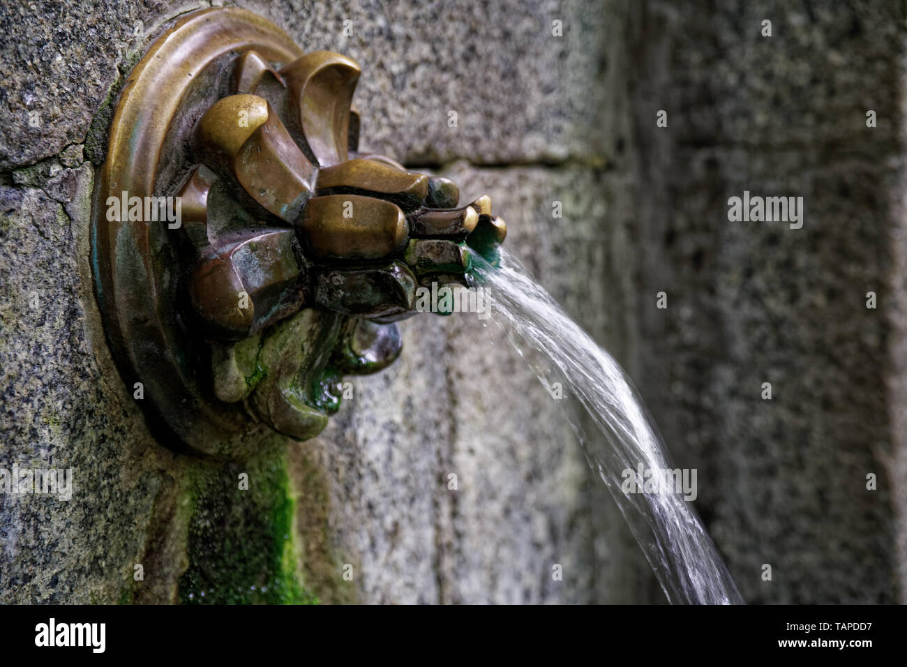 Wellspring with crystalline, pure and bright water. Low angle Stock ...