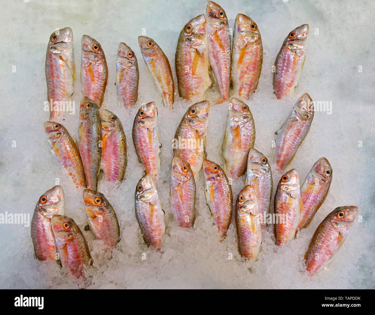 Raw Fish Food in a Fish Market Stand Stock Photo - Alamy