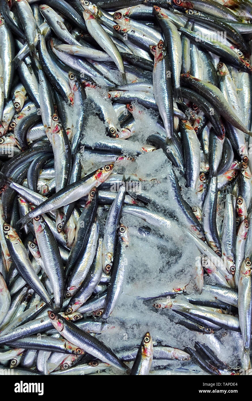 Raw Fish Food in a Fish Market Stand Stock Photo - Alamy