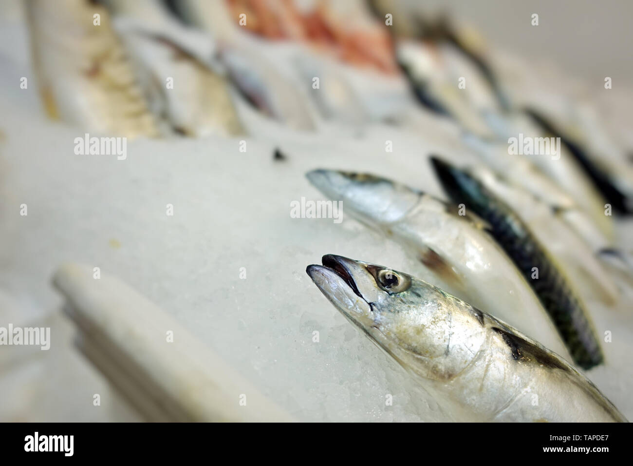 Raw Fish Food in a Fish Market Stand Stock Photo - Alamy
