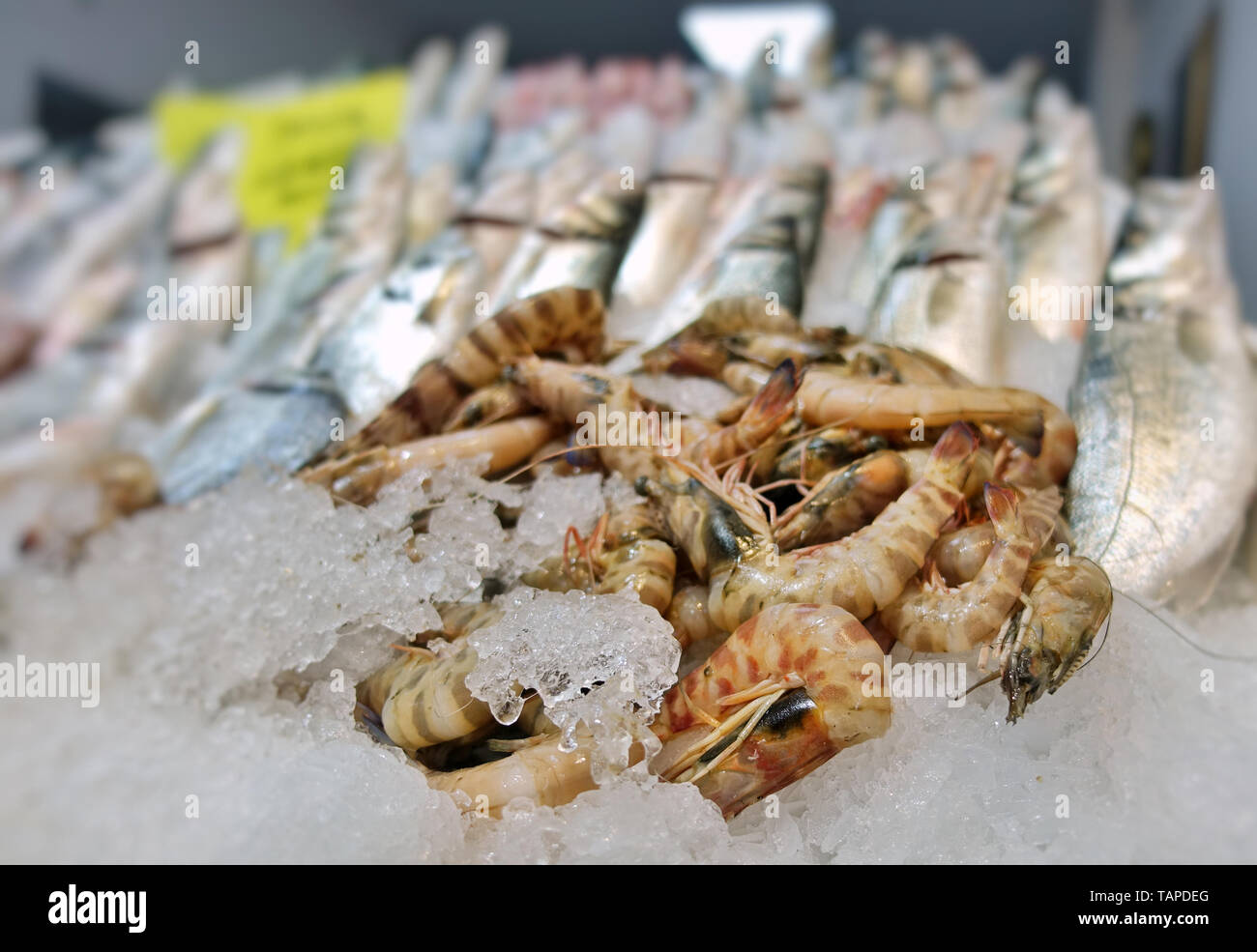 Raw Fish Food in a Fish Market Stand Stock Photo - Alamy