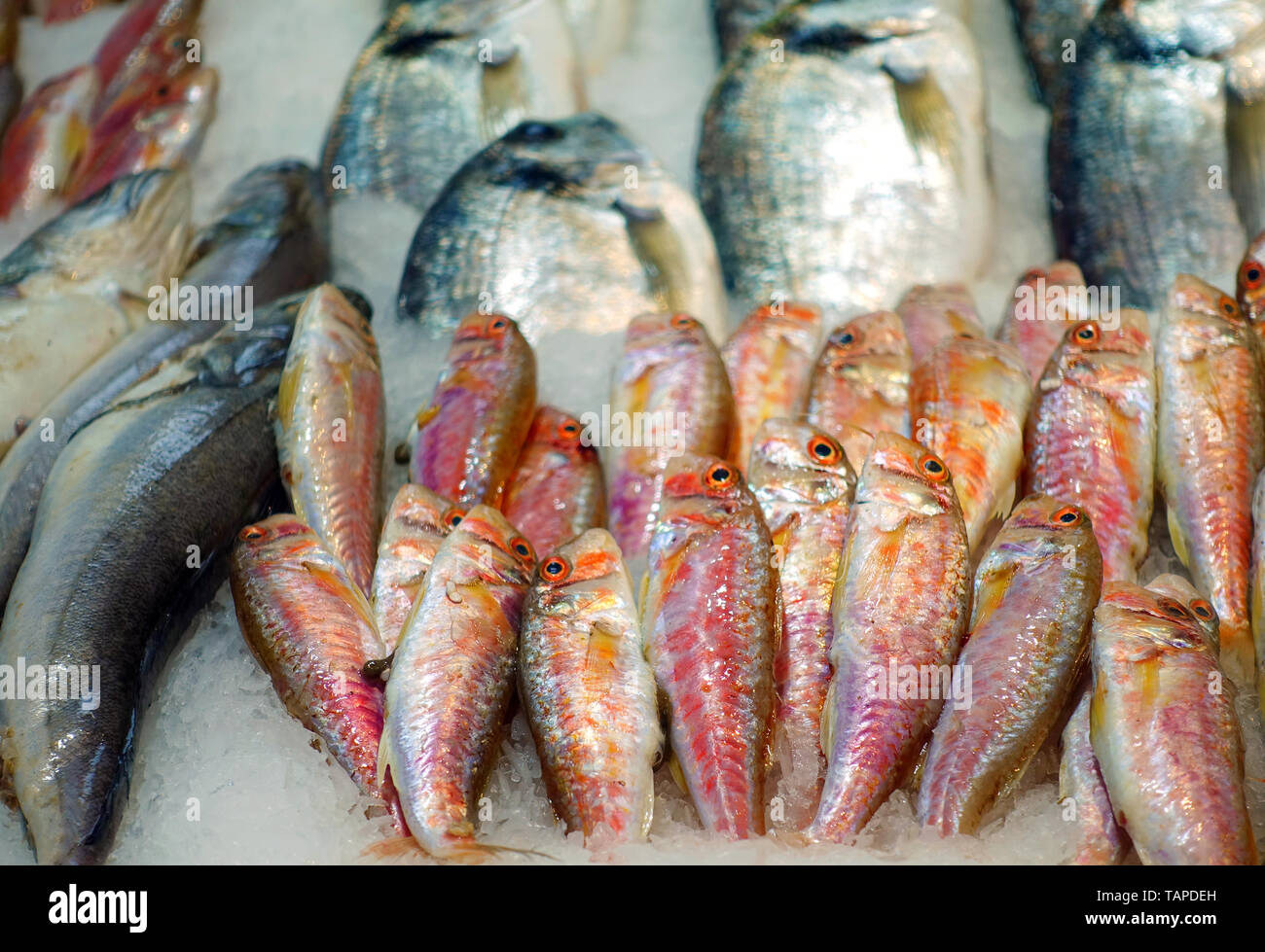 Raw Fish Food in a Fish Market Stand Stock Photo - Alamy