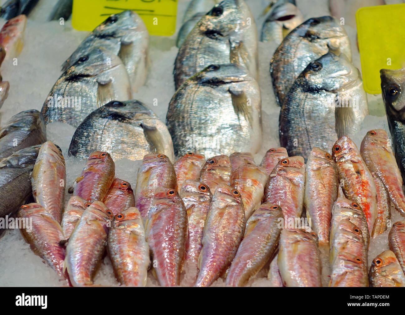 Raw Fish Food in a Fish Market Stand Stock Photo - Alamy
