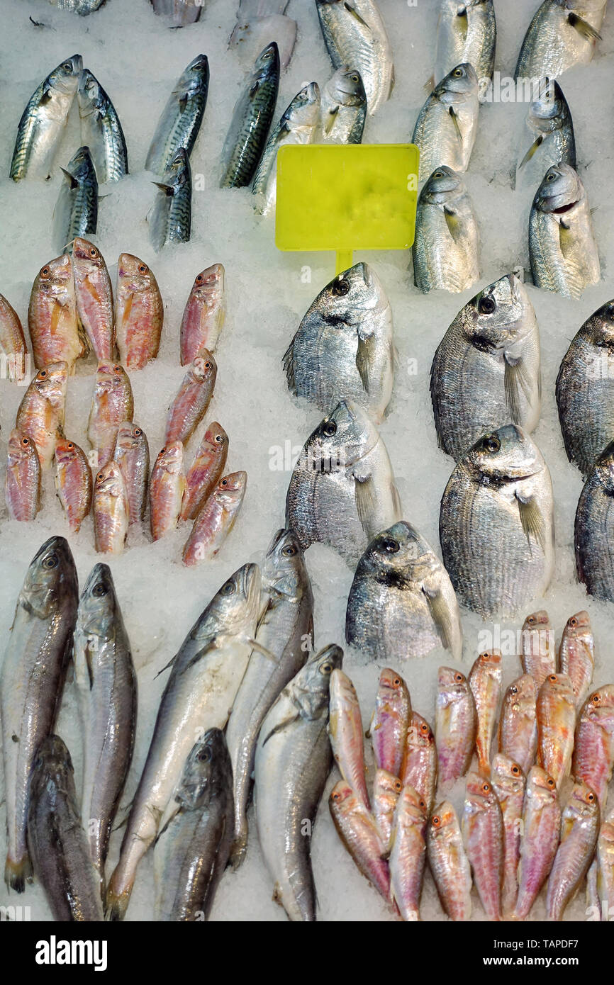 Raw Fish Food in a Fish Market Stand Stock Photo - Alamy