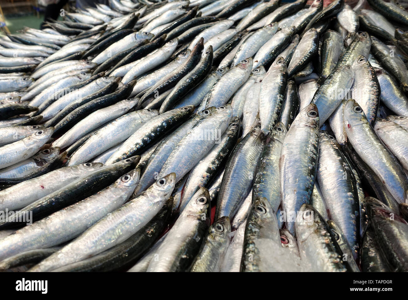 Raw Fish Food in a Fish Market Stand Stock Photo - Alamy