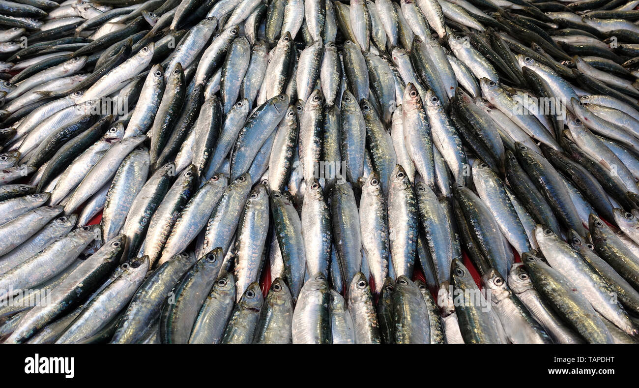 Raw Fish Food in a Fish Market Stand Stock Photo - Alamy
