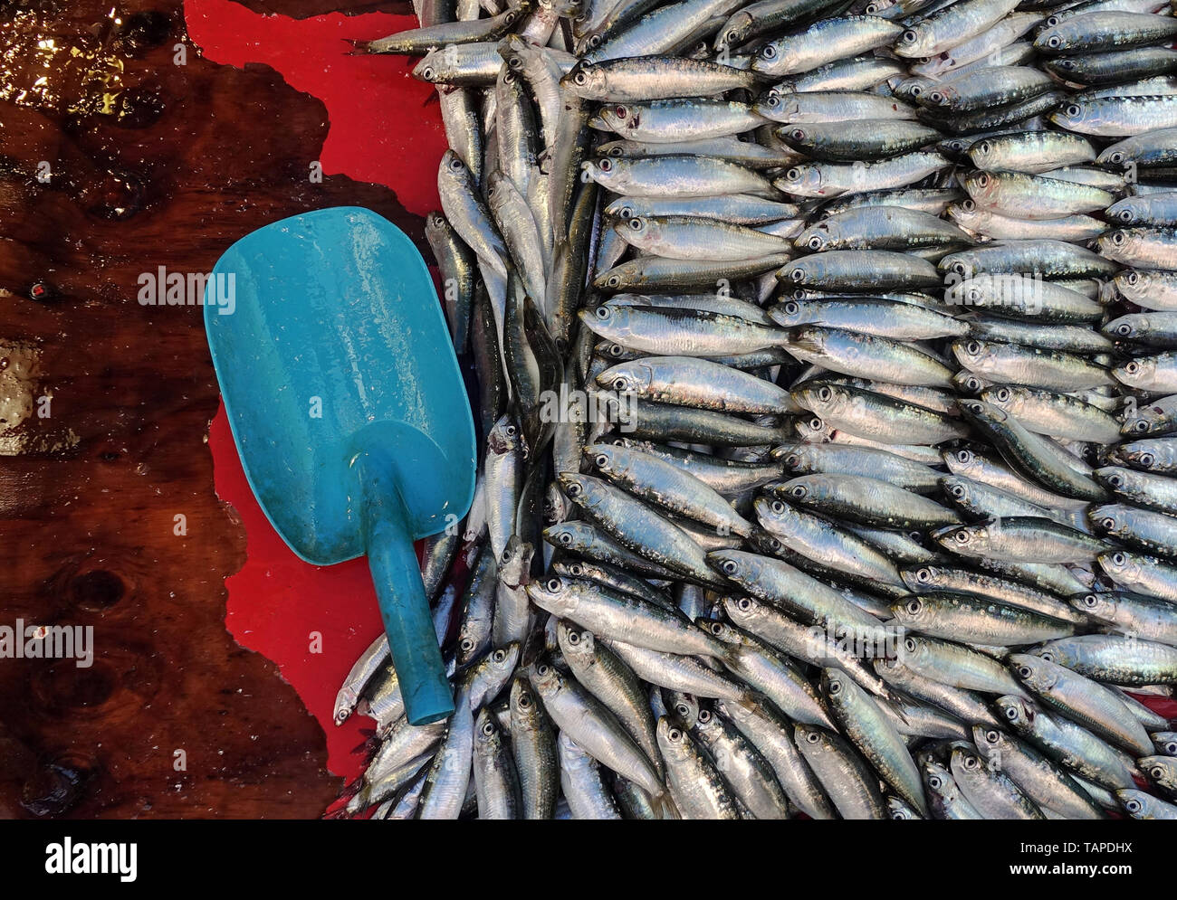 Raw Fish Food in a Fish Market Stand Stock Photo - Alamy