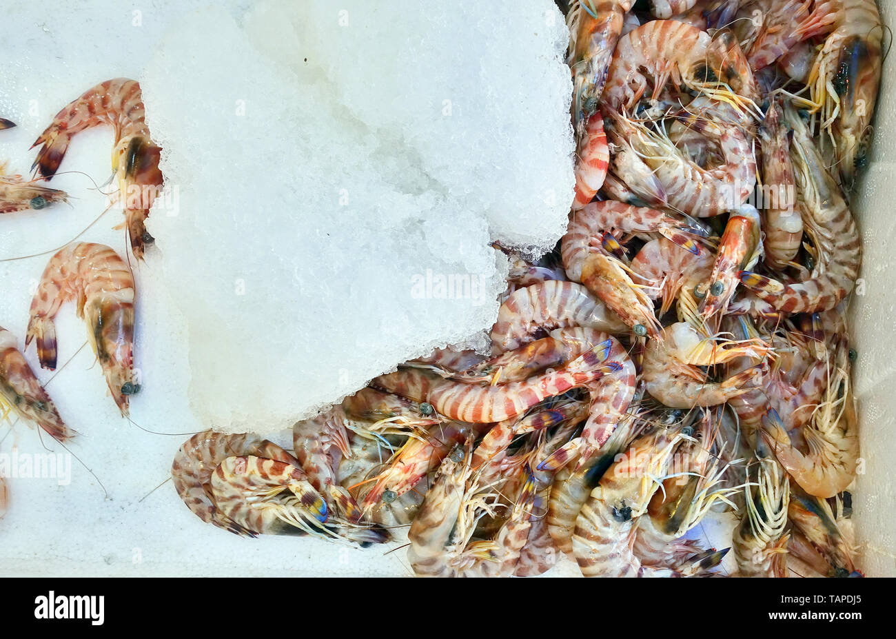 Raw Fish Food in a Fish Market Stand Stock Photo - Alamy