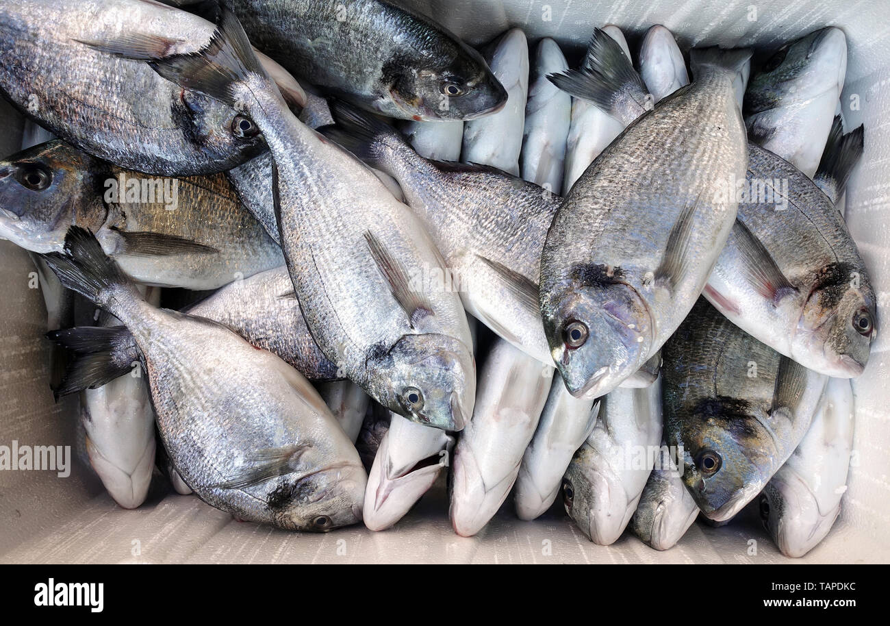 Raw Fish Food in a Fish Market Stand Stock Photo - Alamy