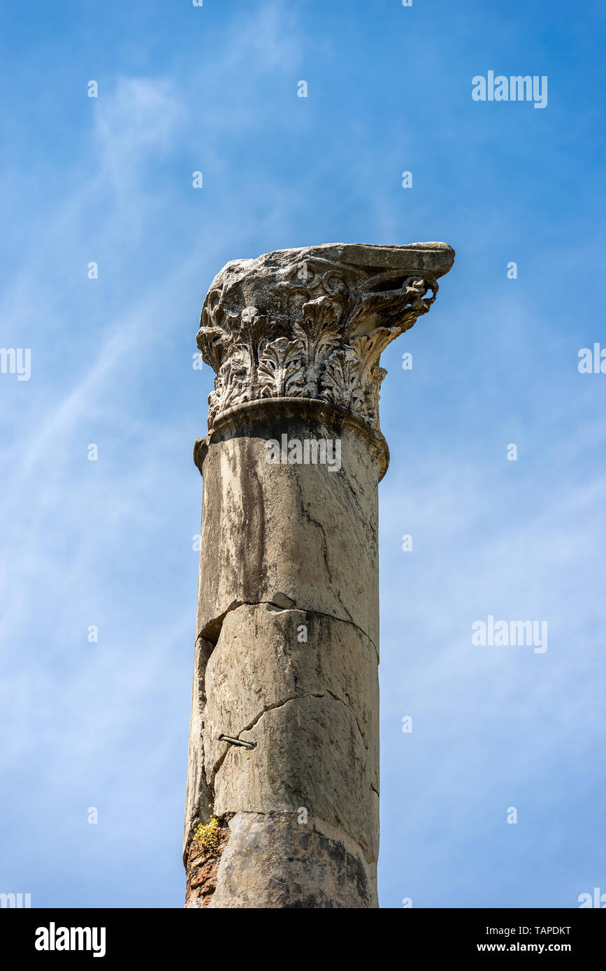Column with capital in Corinthian style, Ostia Antica, Roman colony ...