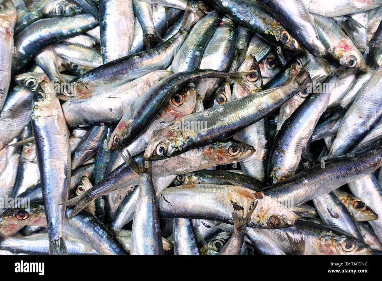 Raw Fish Food in a Fish Market Stand Stock Photo - Alamy