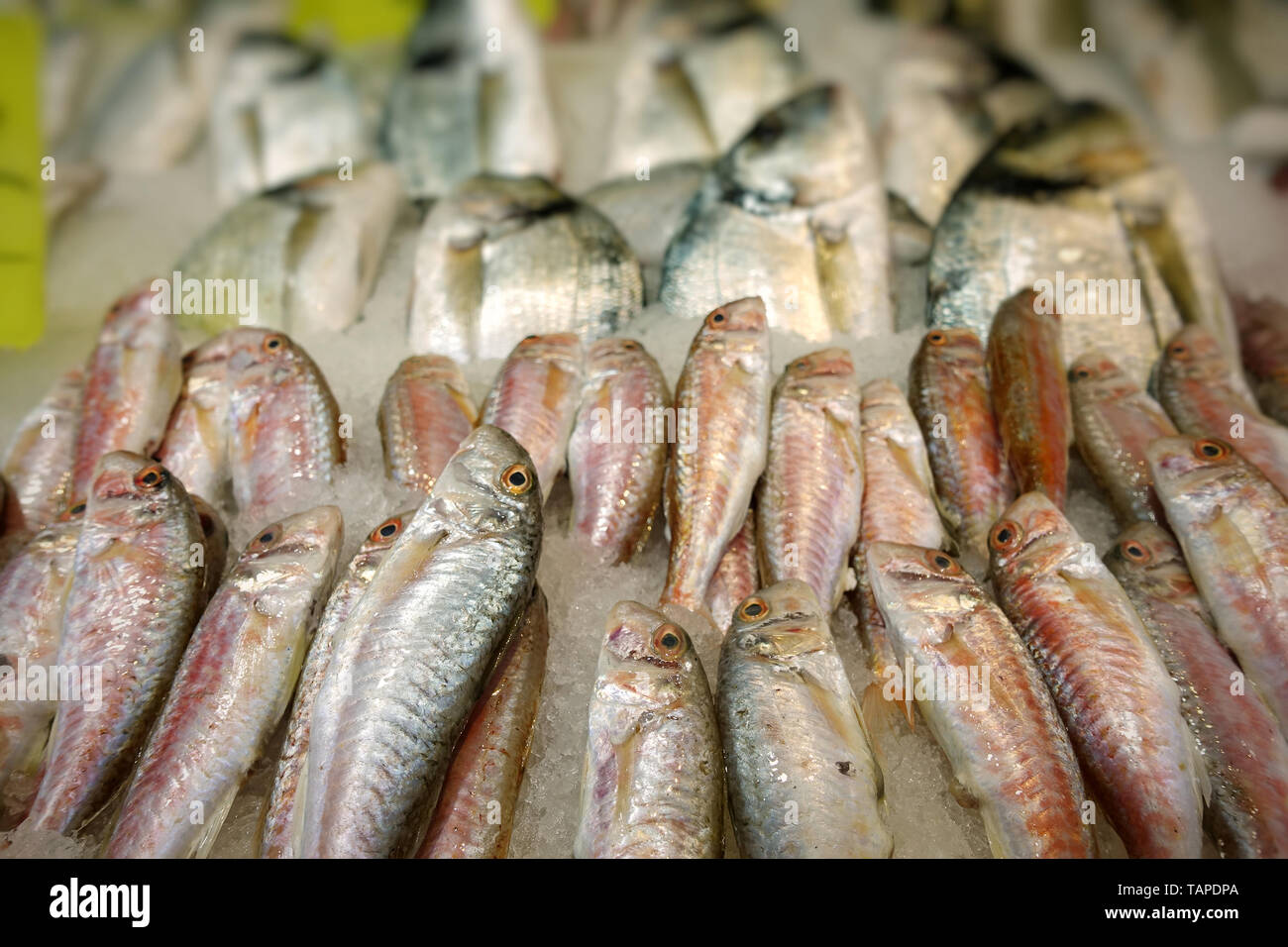 Raw Fish Food in a Fish Market Stand Stock Photo - Alamy