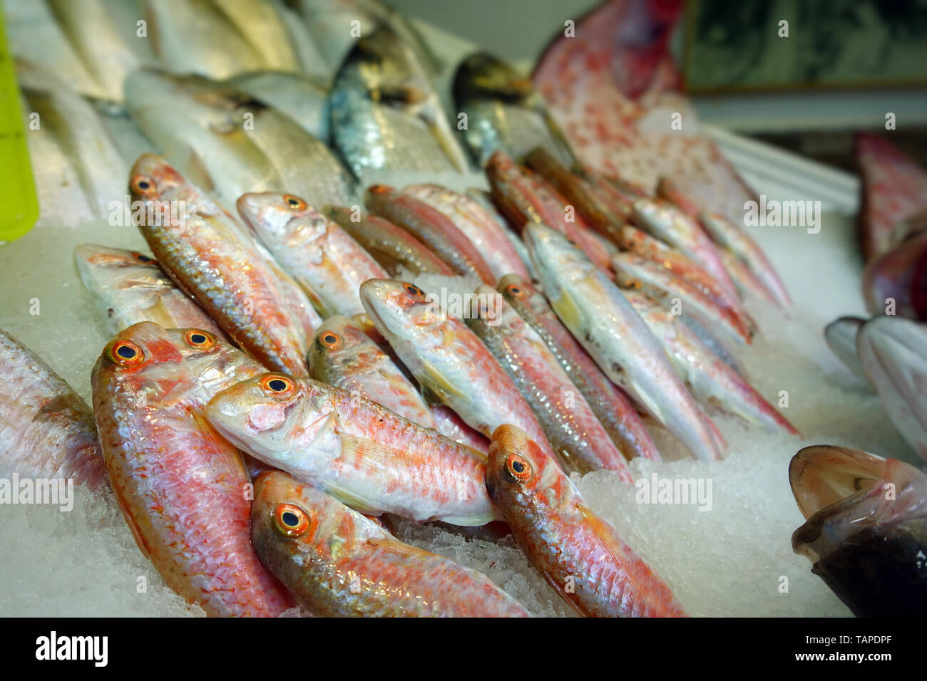 Raw Fish Food in a Fish Market Stand Stock Photo - Alamy