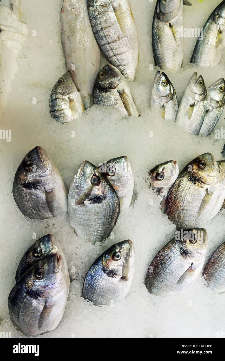 Raw Fish Food in a Fish Market Stand Stock Photo - Alamy