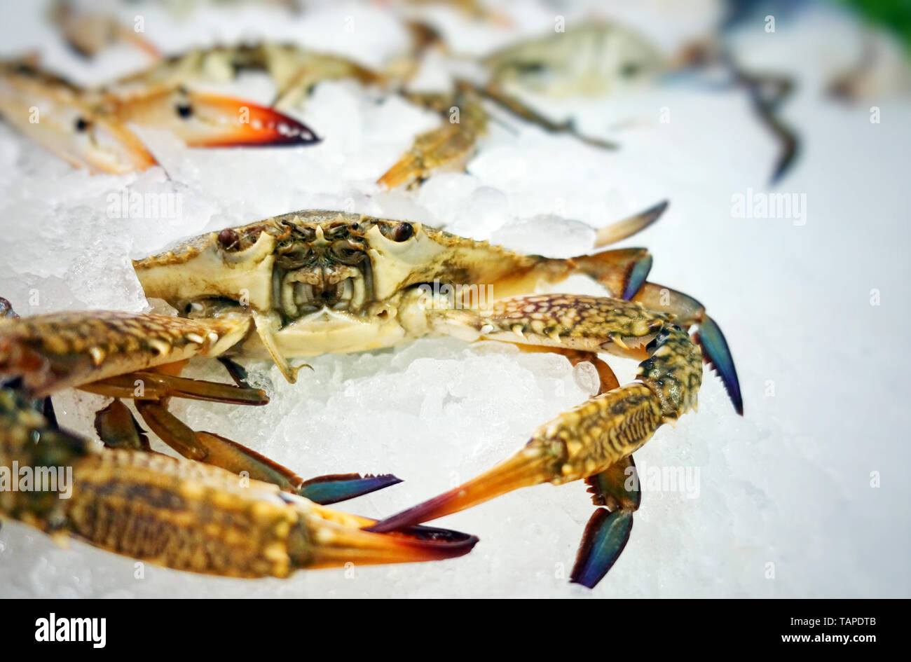 Raw Fish Food in a Fish Market Stand Stock Photo - Alamy