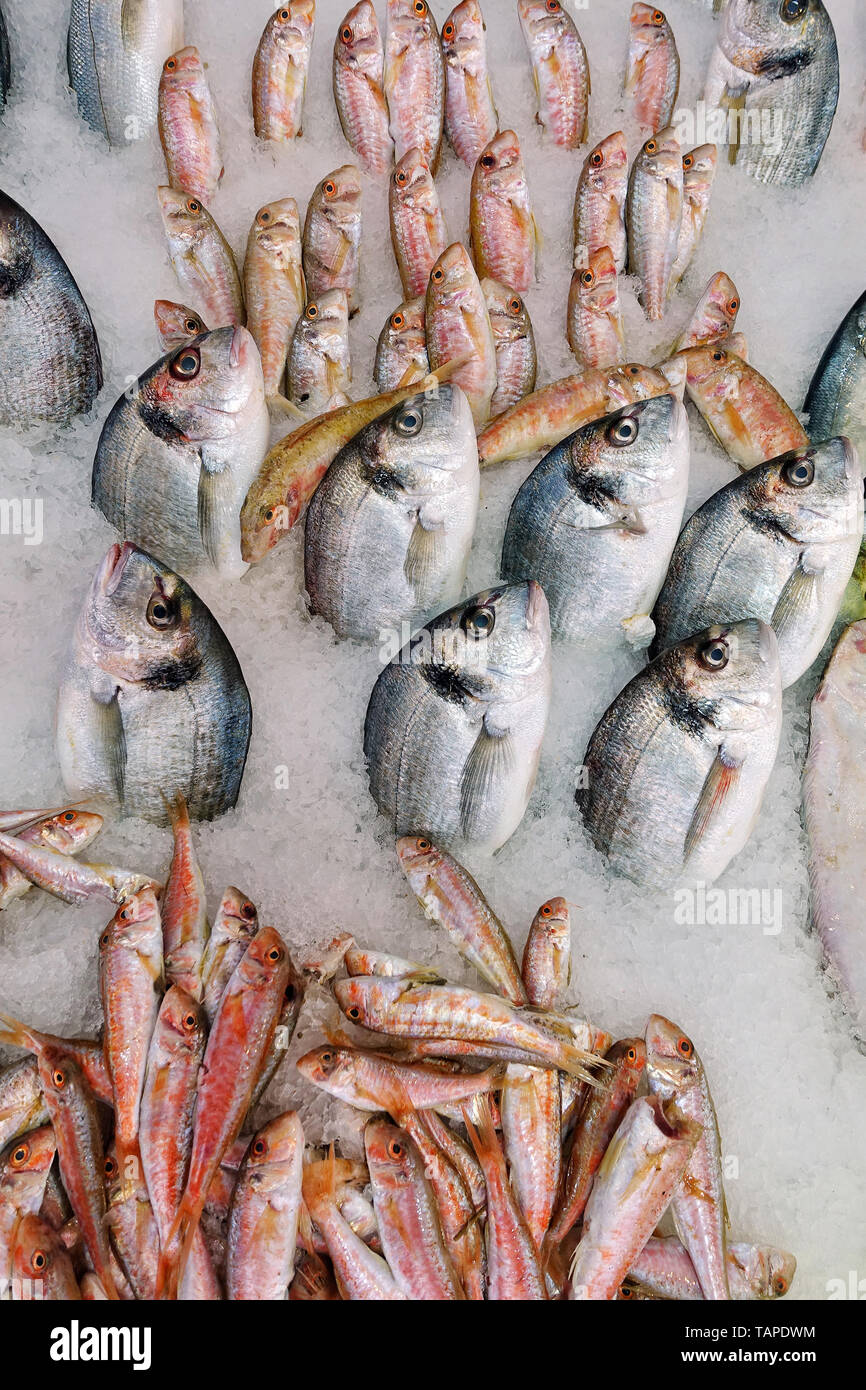 Raw Fish Food in a Fish Market Stand Stock Photo - Alamy