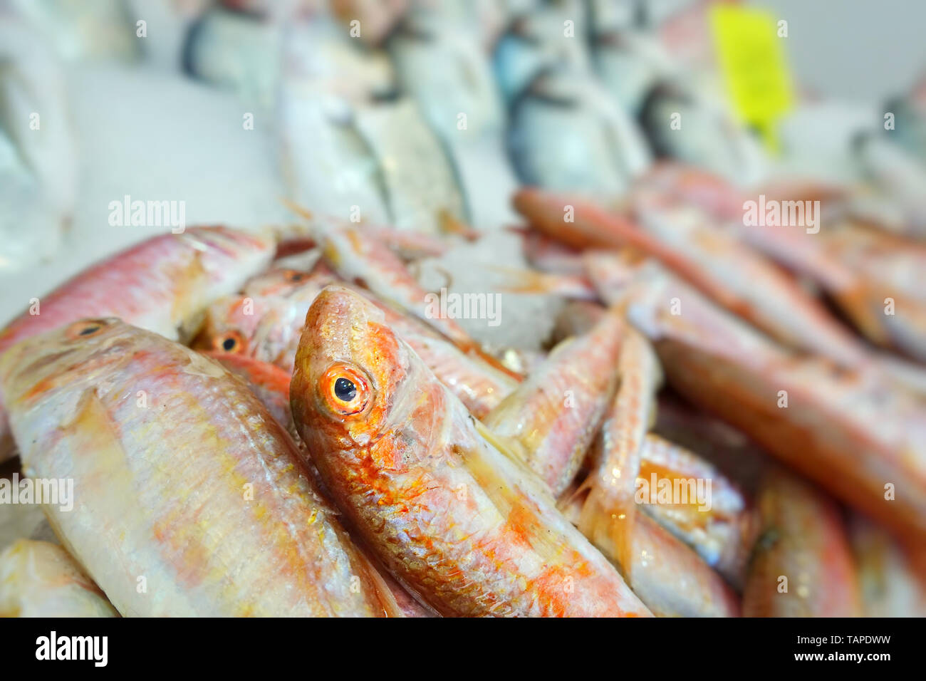 Raw Fish Food in a Fish Market Stand Stock Photo - Alamy