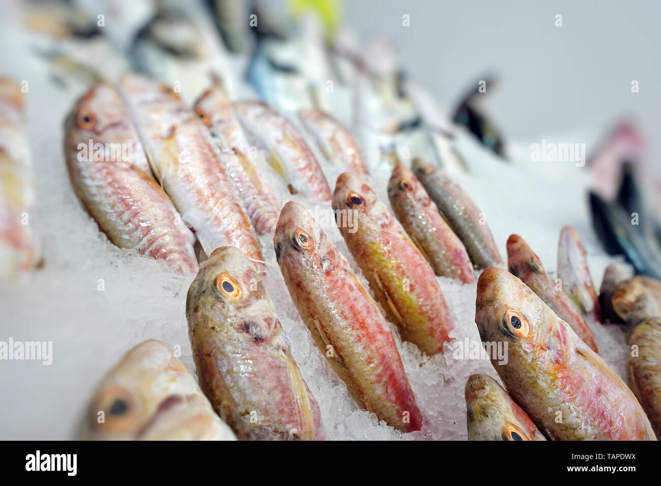 Raw Fish Food in a Fish Market Stand Stock Photo - Alamy