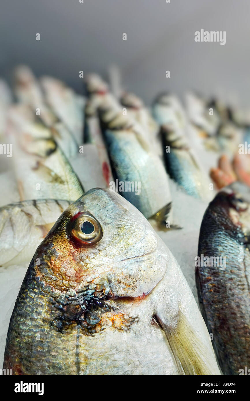 Raw Fish Food in a Fish Market Stand Stock Photo - Alamy