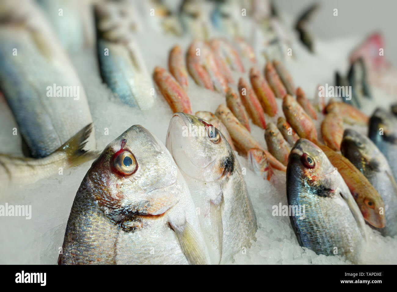 Raw Fish Food in a Fish Market Stand Stock Photo - Alamy