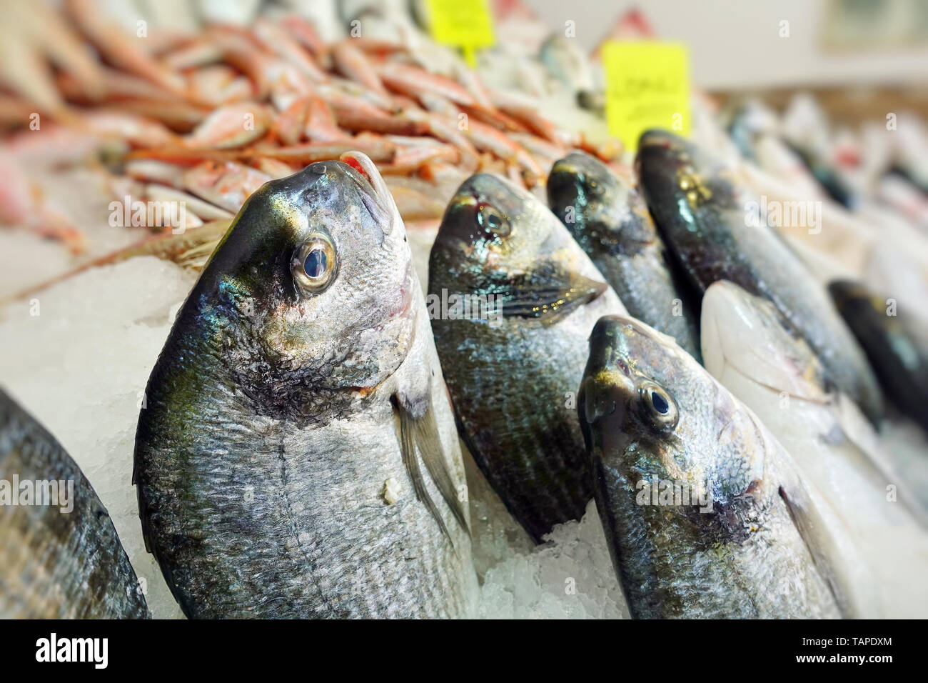 Raw Fish Food in a Fish Market Stand Stock Photo - Alamy