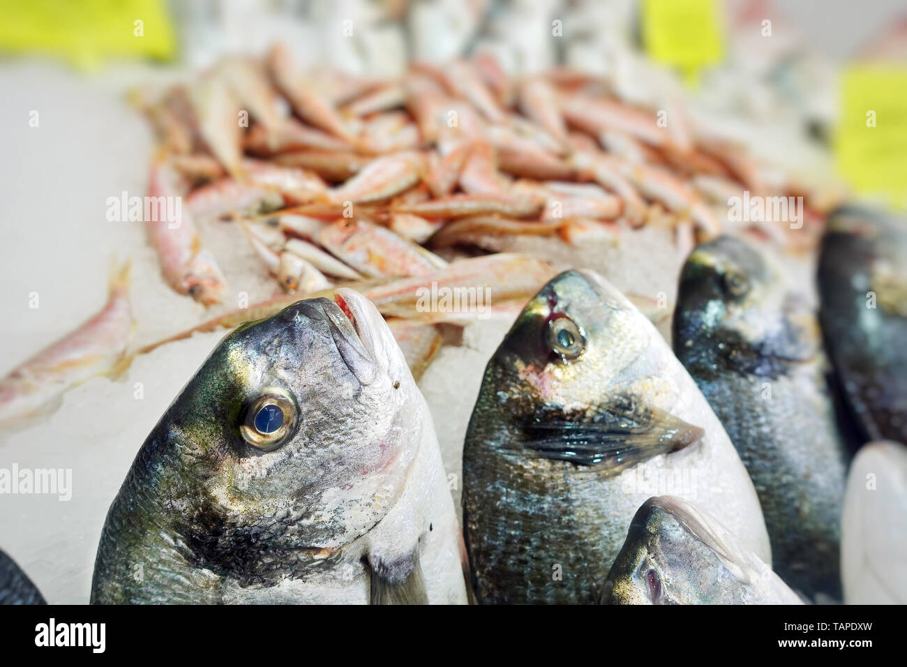 Raw Fish Food in a Fish Market Stand Stock Photo - Alamy