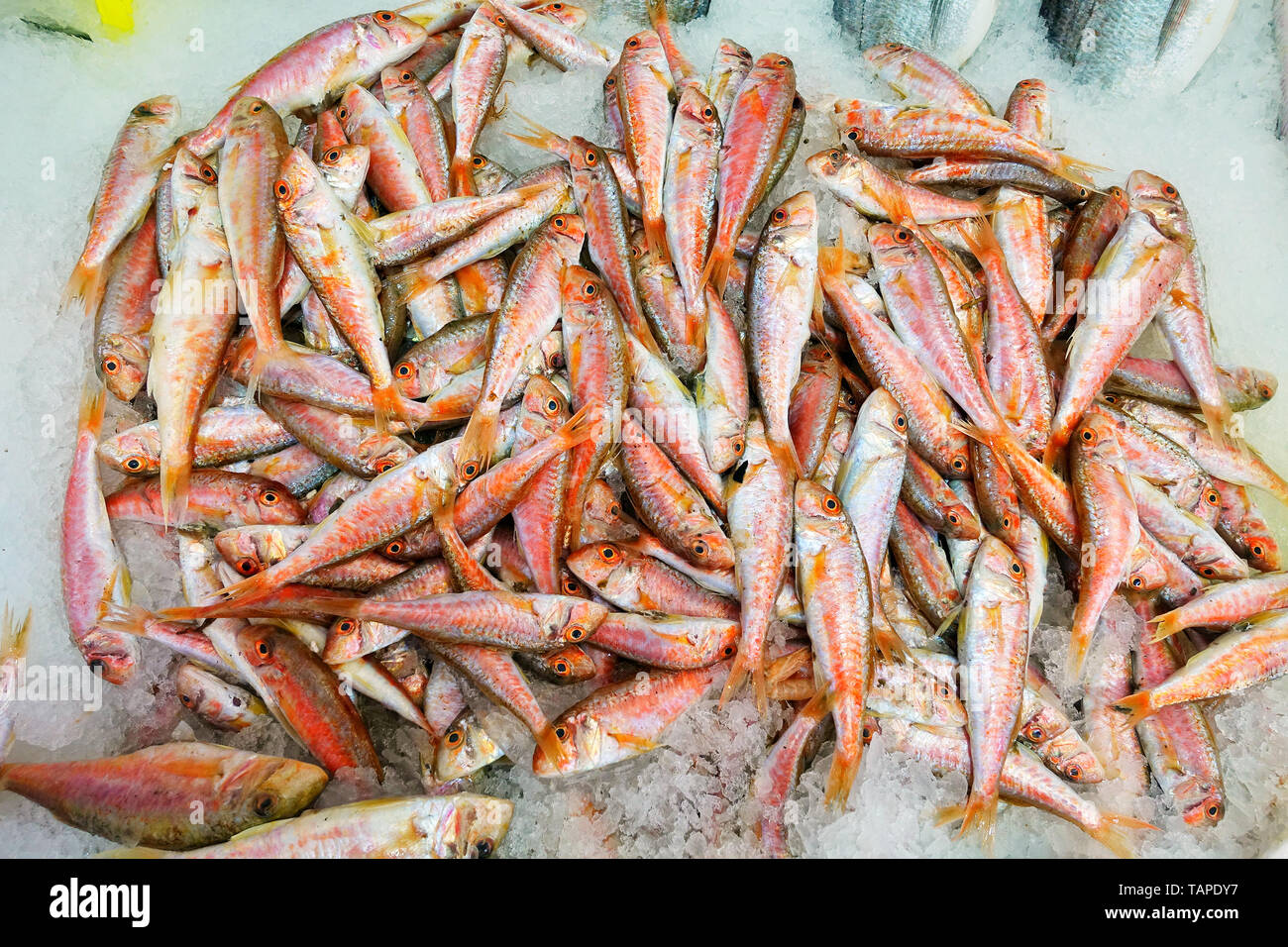 Raw Fish Food in a Fish Market Stand Stock Photo - Alamy