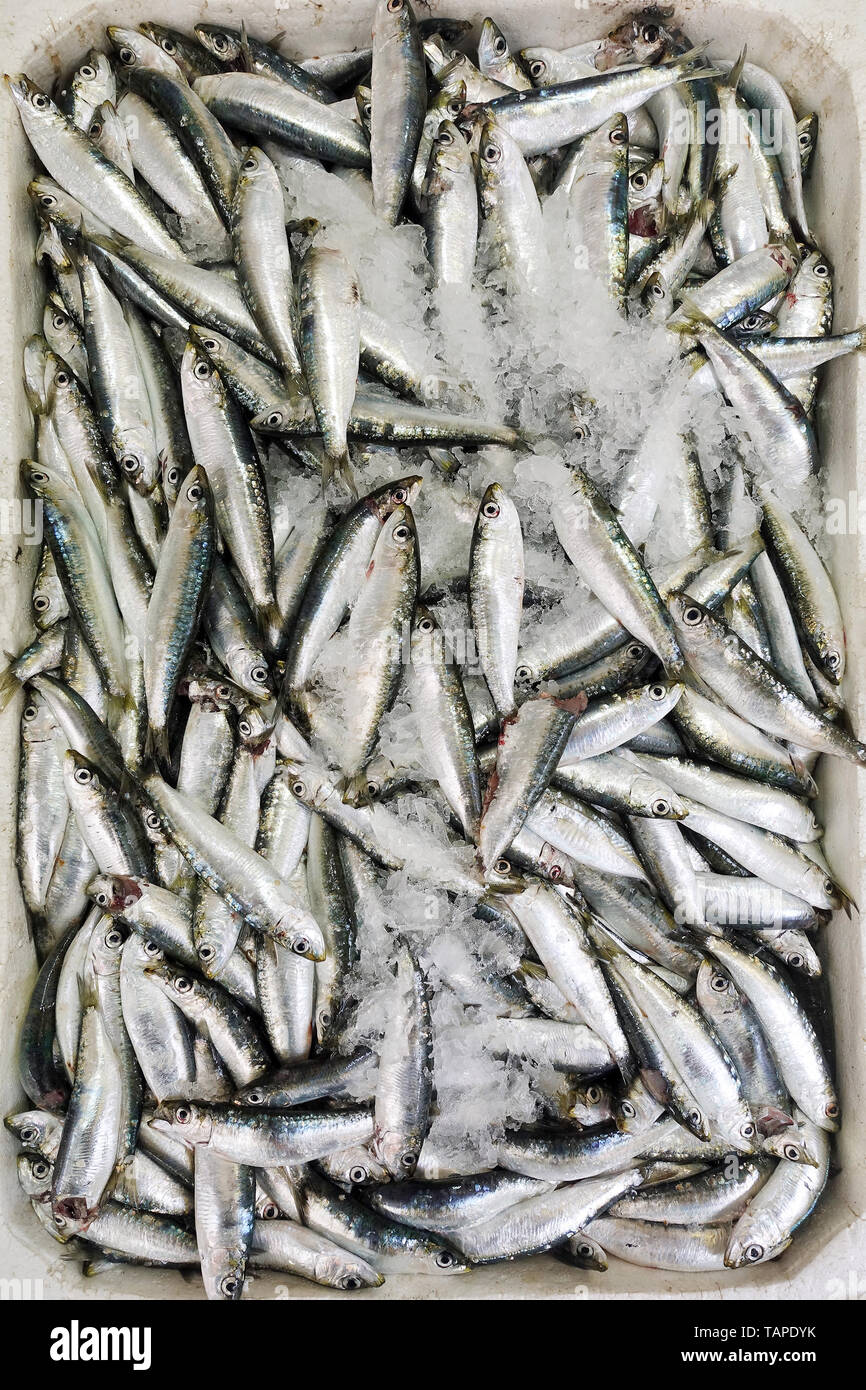 Raw Fish Food in a Fish Market Stand Stock Photo - Alamy