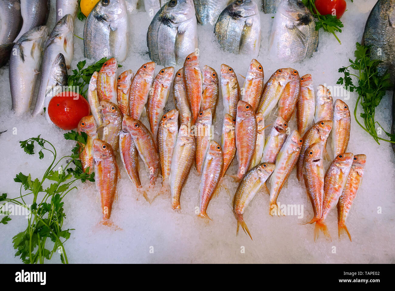 Raw Fish Food in a Fish Market Stand Stock Photo - Alamy