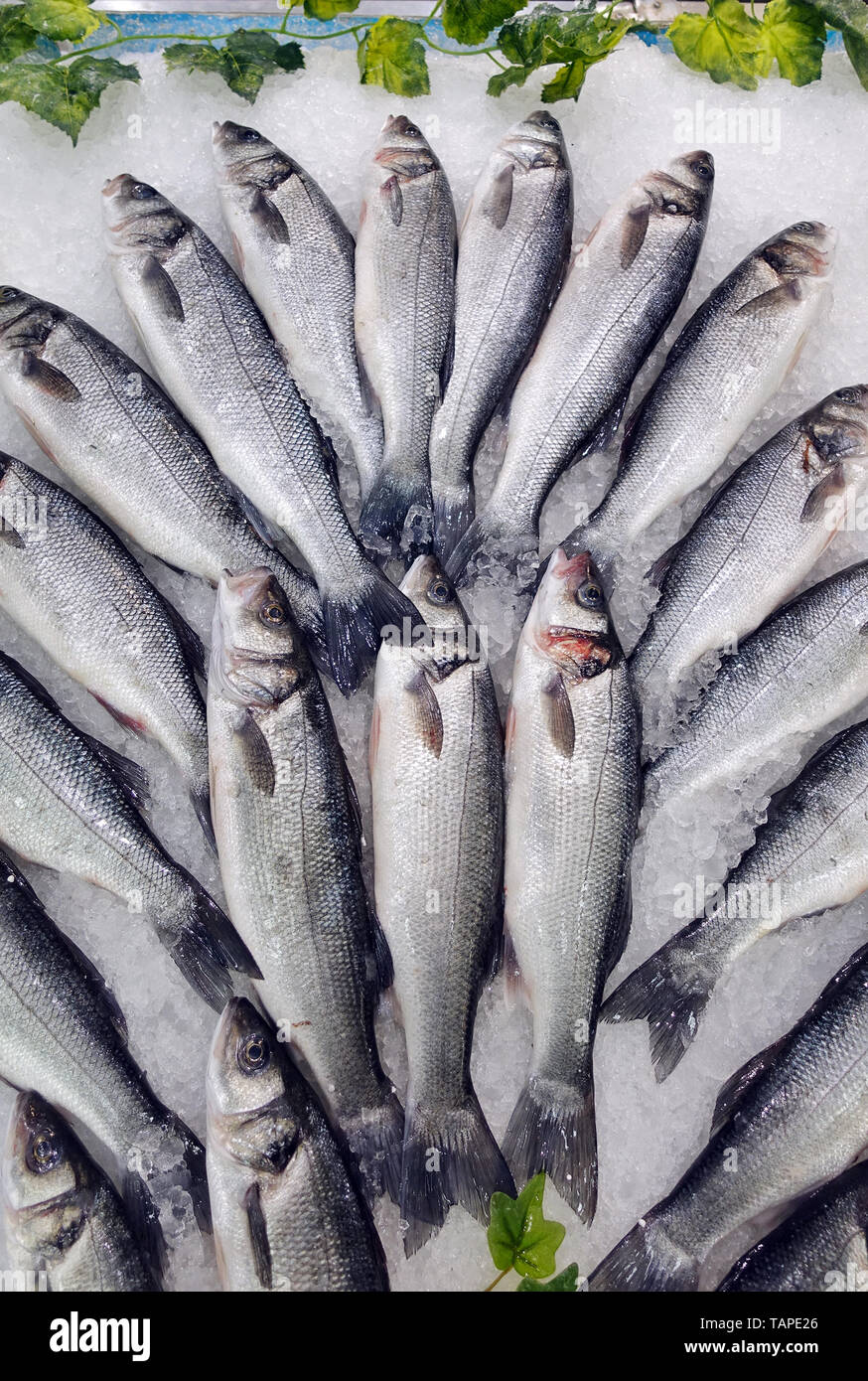 Raw Fish Food in a Fish Market Stand Stock Photo - Alamy