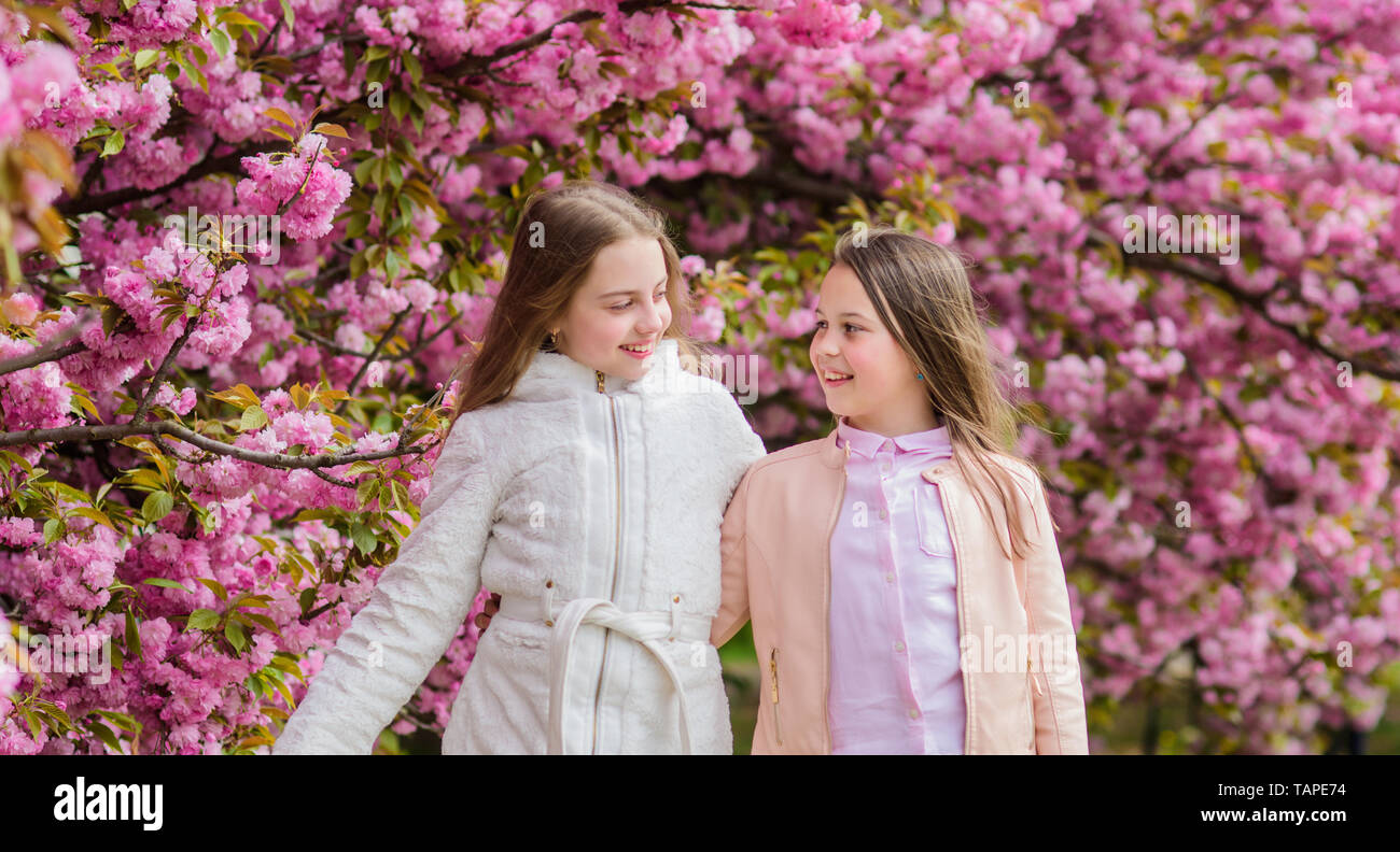 Flowers soft pink clouds. Children enjoy warm spring. Lost in blossom ...