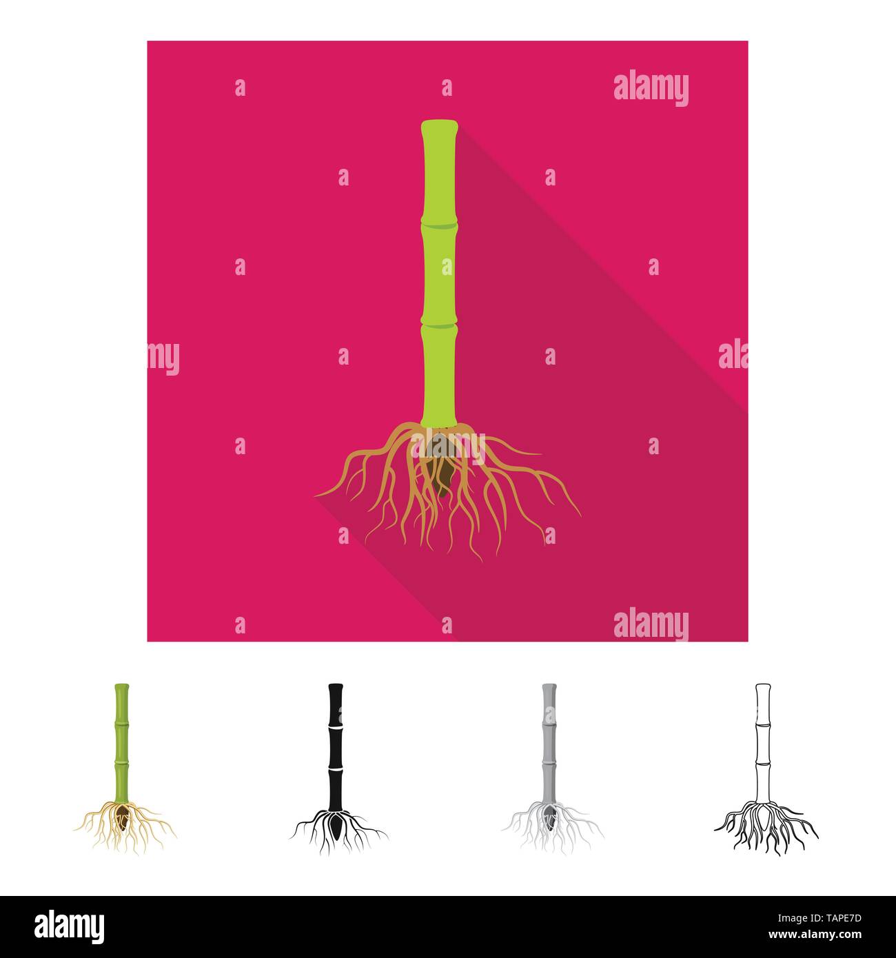 Isolated object of root and system sign. Set of root and sprout stock ...