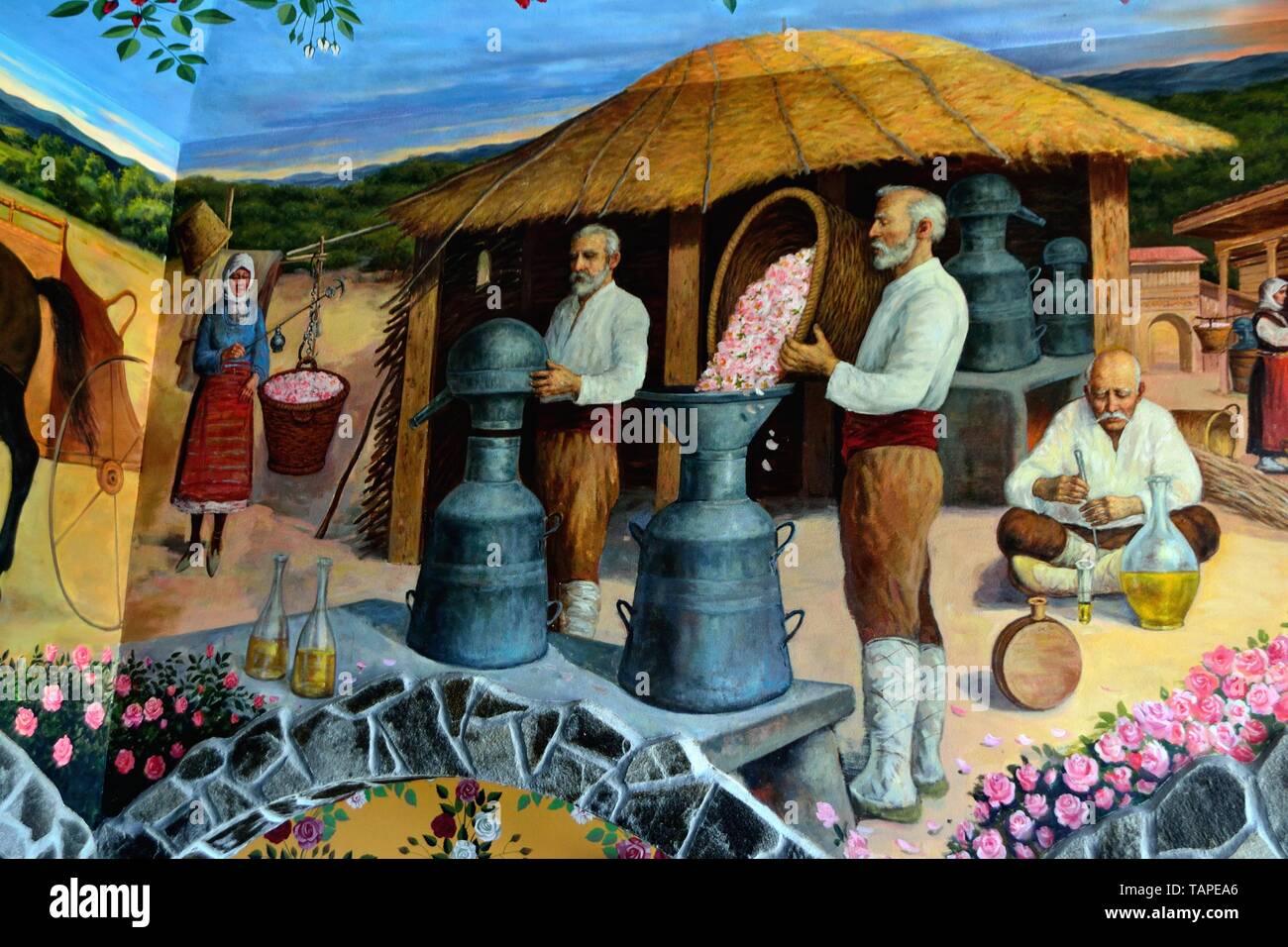 Rose distillation still hi-res stock photography and images - Alamy