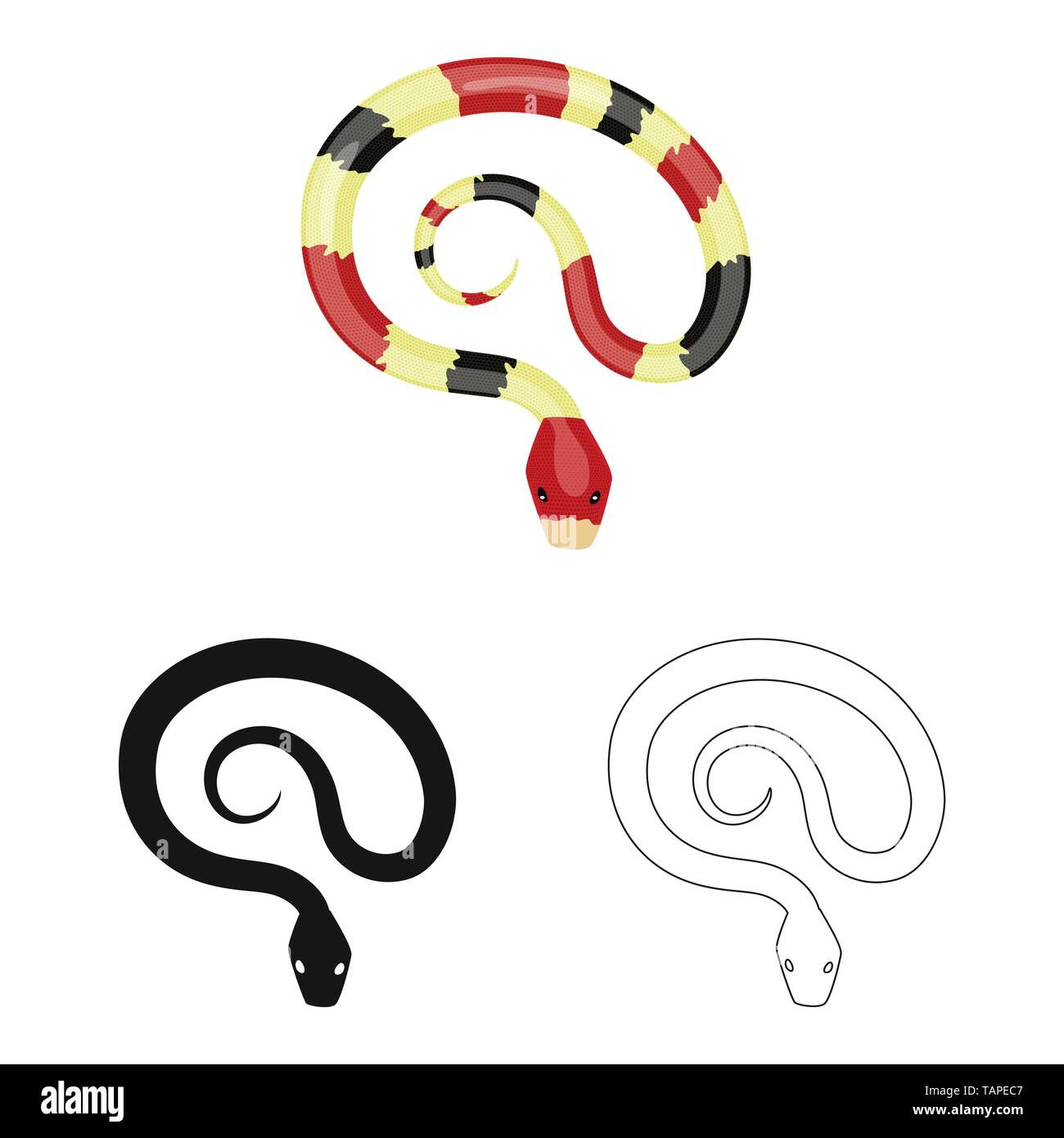 snake,coral,red,black,white,animal,viper,forest,serpent,royal,mammal ...