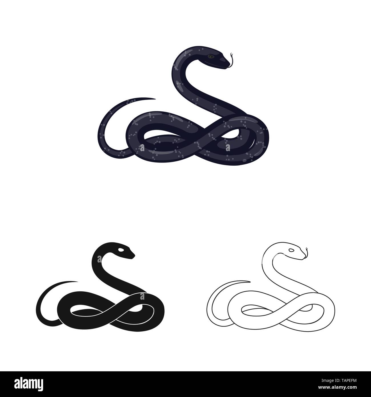 anaconda,snake,tail,spiral,pharmacy,black,tropical,forest,fear,language ...