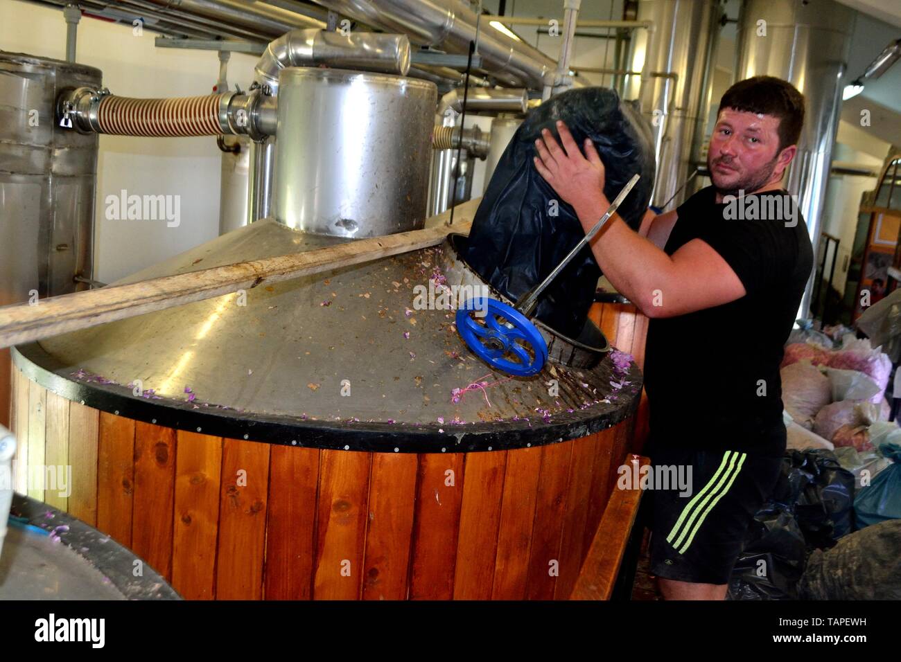 Rose oil distillation - Ethnographic complex Damascena Rose in KAZANLAK ...