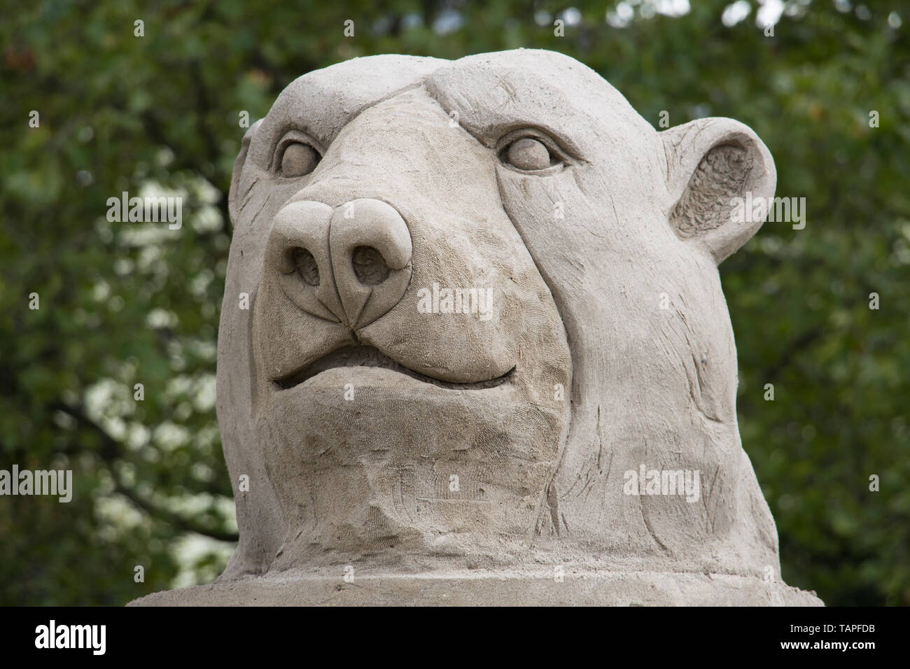 sand sculpture of a bear Stock Photo - Alamy