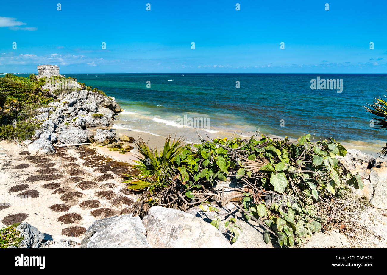 Mayan ruins at the Caribbean Seaside - Tulum, Mexico Stock Photo - Alamy
