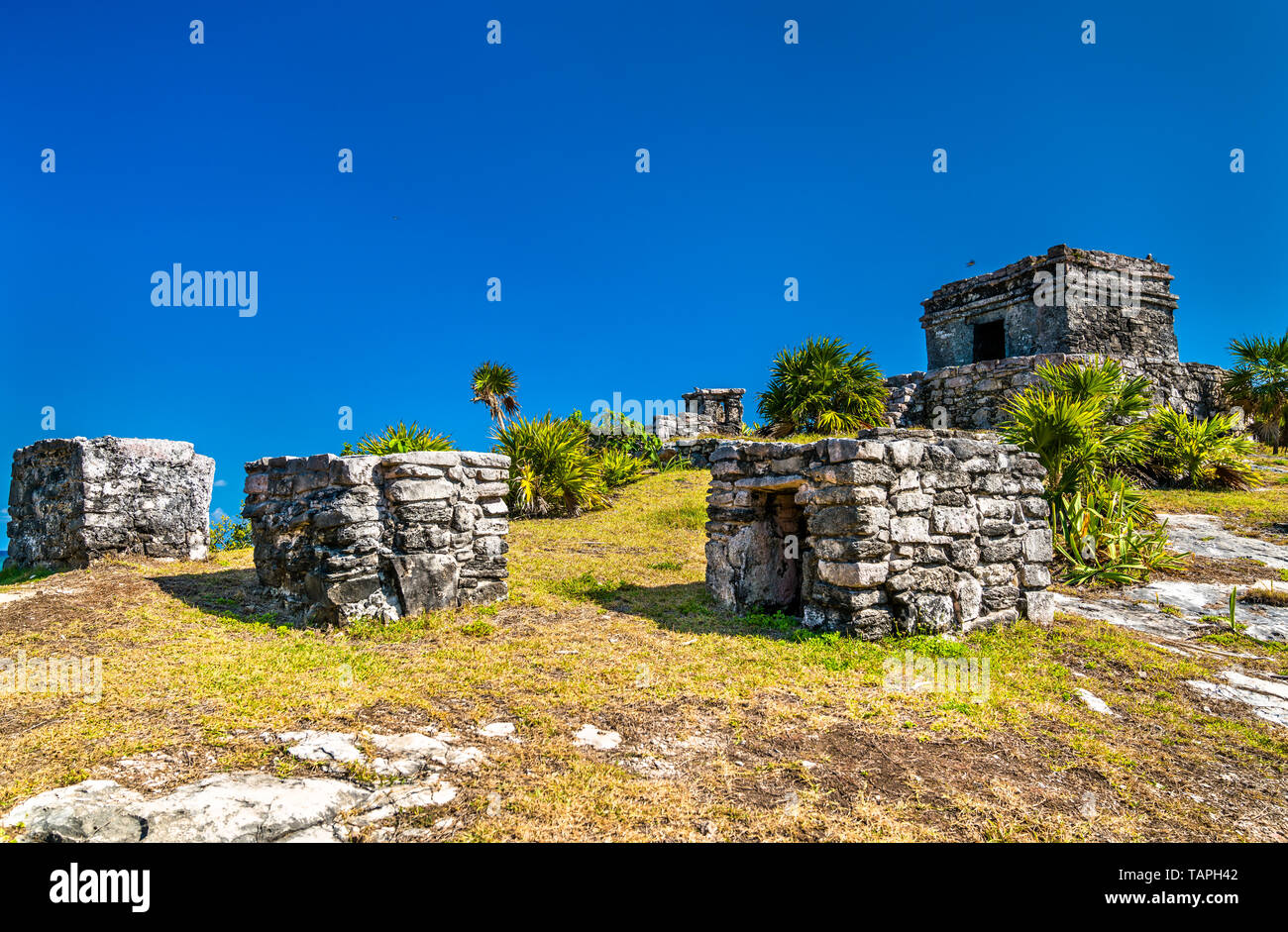 Ancient Mayan ruins at Tulum in Mexico Stock Photo - Alamy