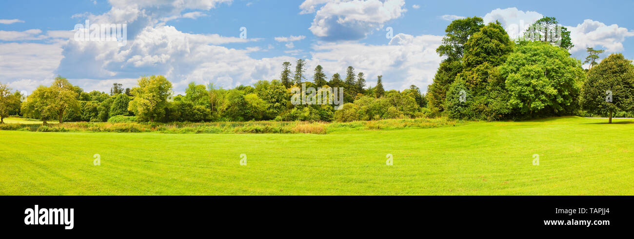 Irish landscape with meadow and forest in the background - panoramic ...