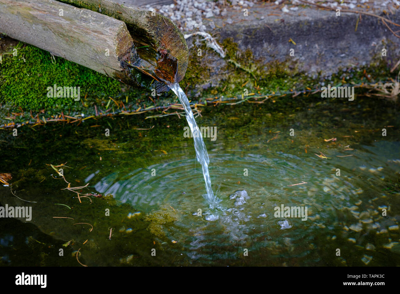 Mountain spring with fresh water, closeup, drinking water, water ...